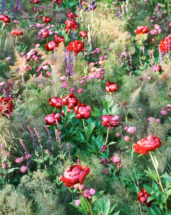 Pioner – för kejsare, dig och mig – Trädgård à la Rosenholm